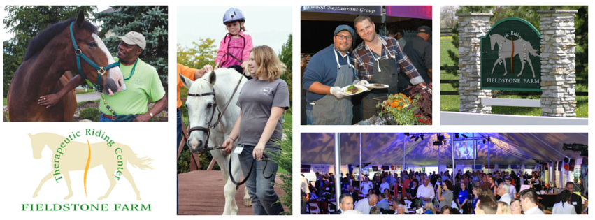 Fieldstone Farm Therapeutic Riding Center – Yopko Penhallurick, LLC